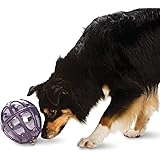 Pet Supplies : Pet Toy Balls : PetSafe Busy Buddy Kibble Nibble Meal ...