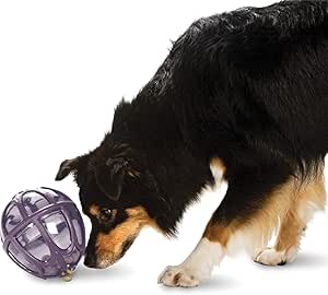Pet Supplies : Pet Toy Balls : PetSafe Busy Buddy Kibble Nibble Meal ...