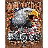 Amazon.com: Desperate Enterprises Indian Scout Motorcycle Tin Sign ...