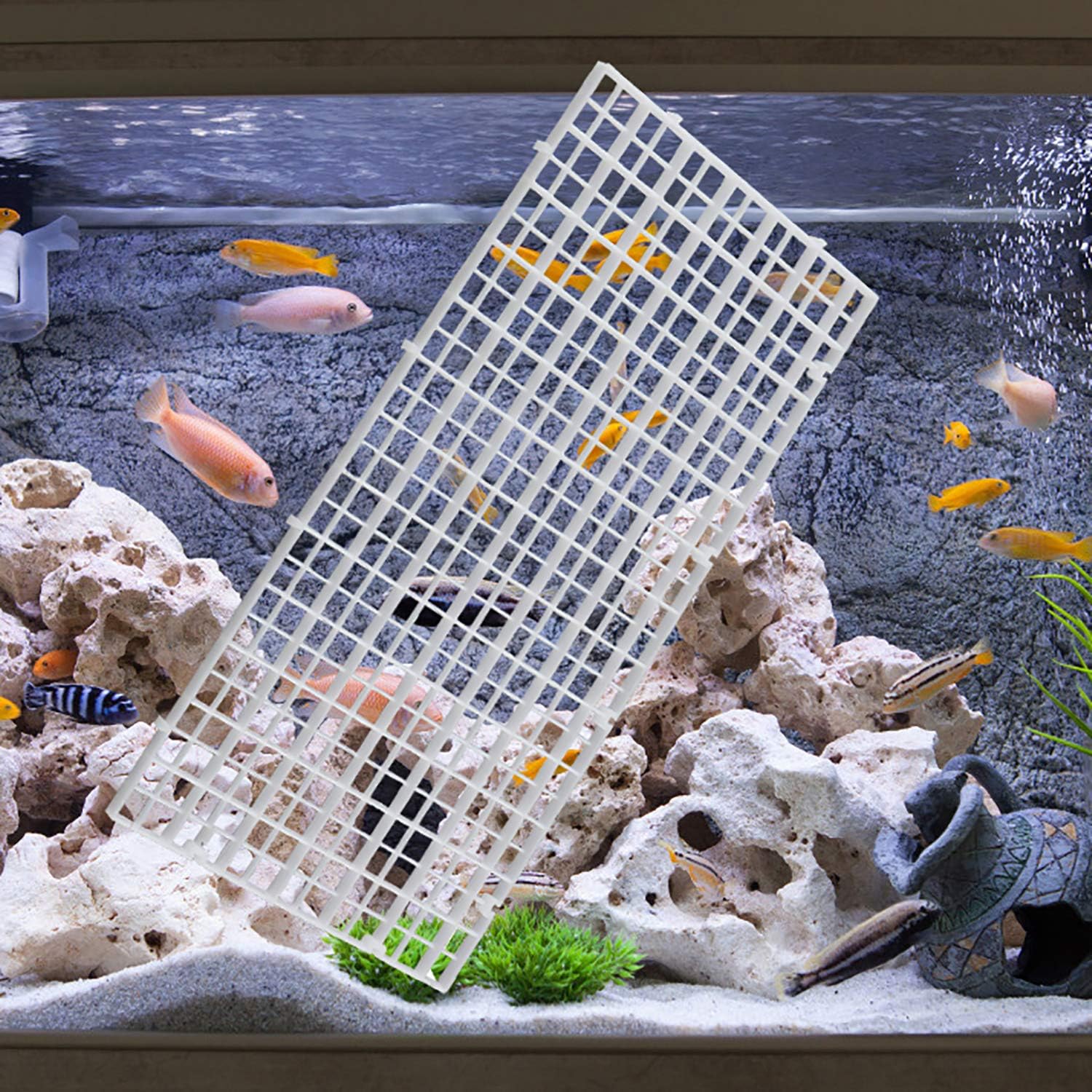 LOCOLO 4 PCS Fish Tank Divider Plastic Aquarium Divider Panel Separator ...