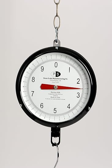 Amazon.com: Penn Scale 820 H 20 Pound 8 inch Hanging Scale - Head only ...