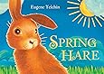 Spring Hare: Yelchin, Eugene, Yelchin, Eugene: 9781627793926: Amazon ...