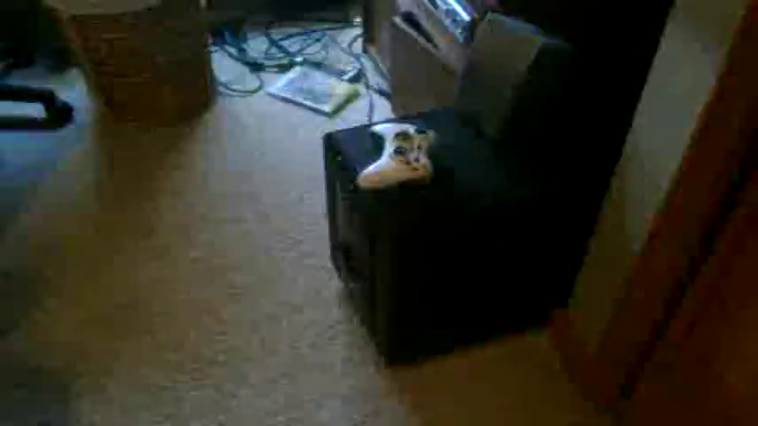 Amazon.com: LG 42LG70 42-Inch 1080p 120 Hz LCD HDTV: Electronics