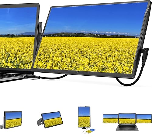 ZTGD 14.1” Laptop Screen Extender - 1920 x 1080FHD IPS Portable ...