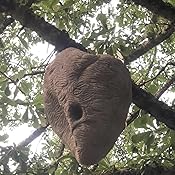 Amazon.com : AIRCROW Wasp Out Fake Hornet's Nest Wasp Deterrent ...
