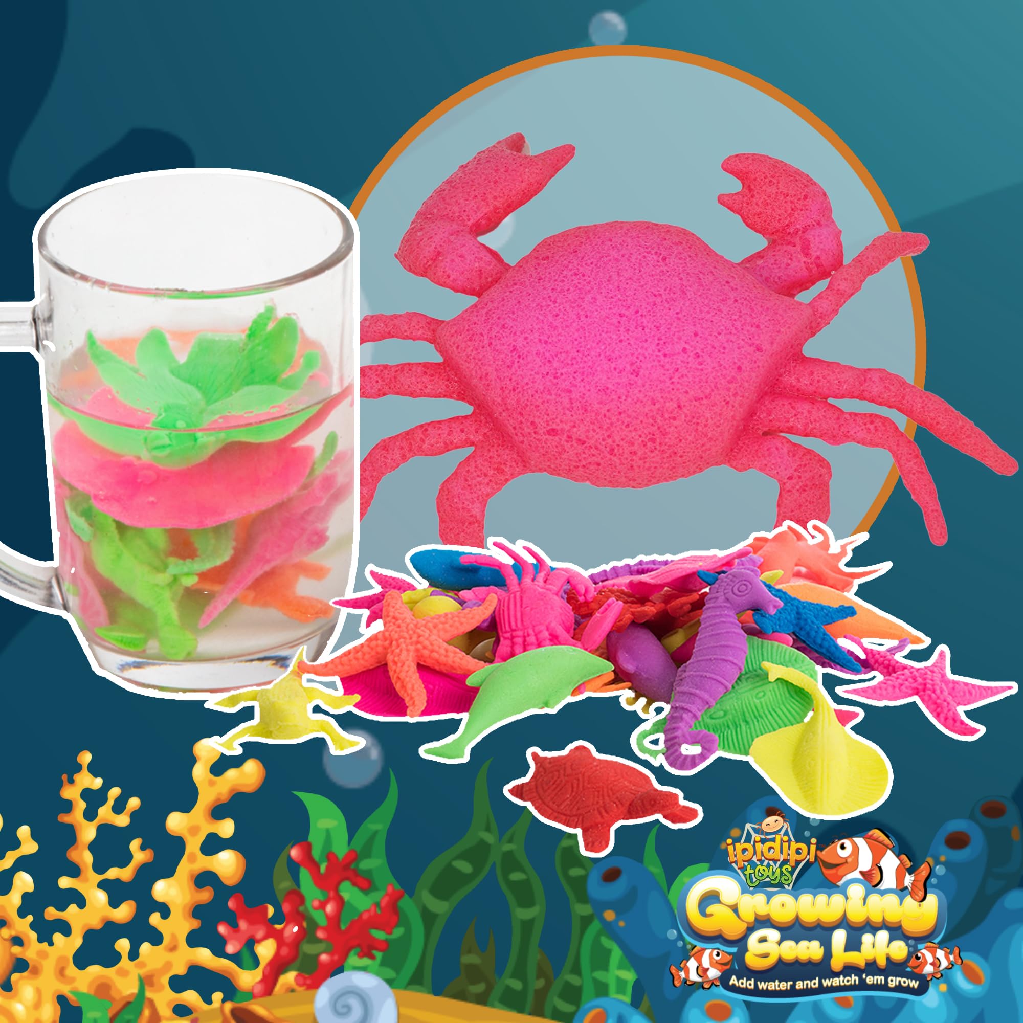 Mua IPIDIPI TOYS Water Growing Sea Creatures for Kids – Ocean-Themed ...