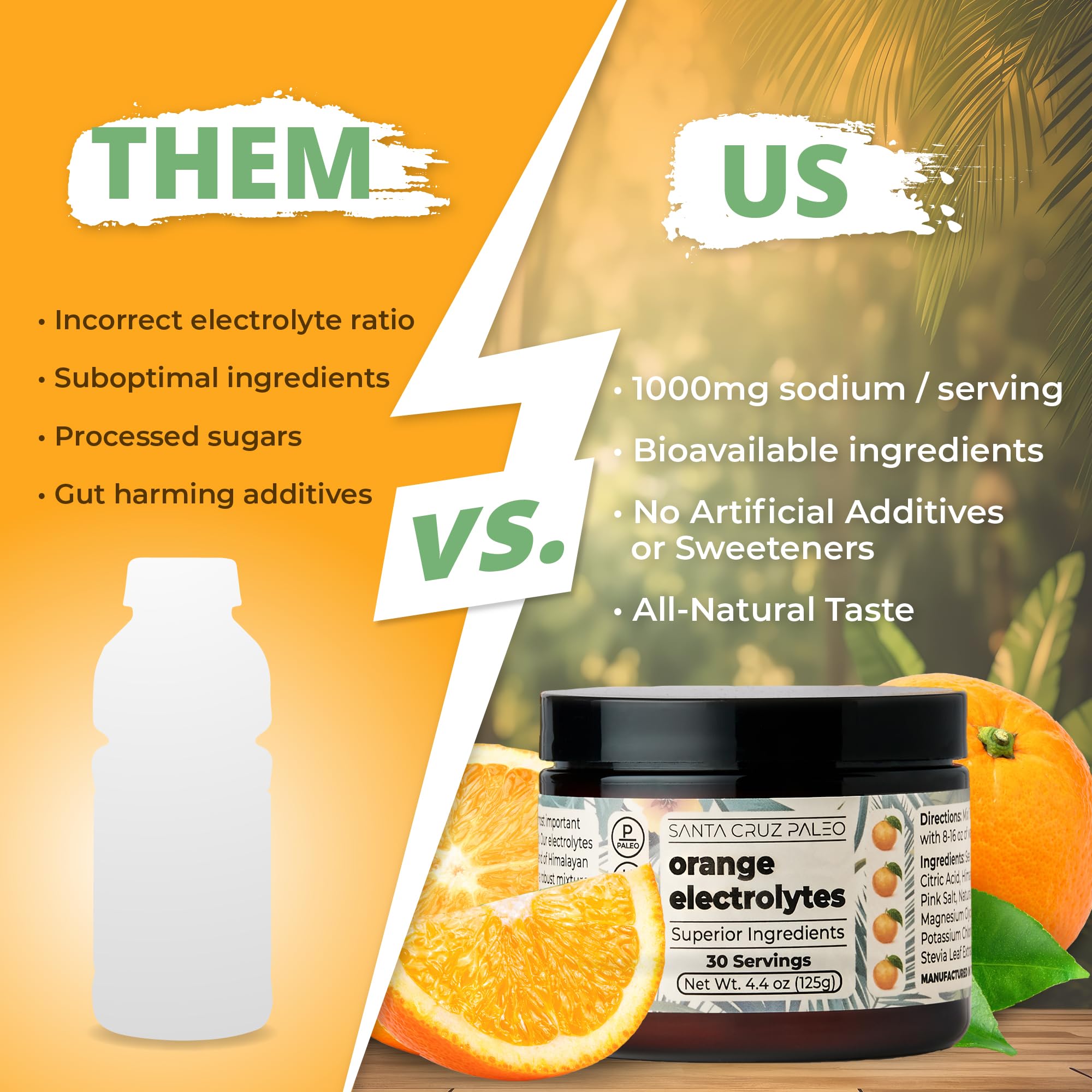 Mua Santa Cruz Paleo Electrolytes Powder with Magnesium Glycinate ...