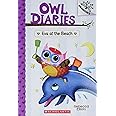 Amazon.com: Eva at the Beach: A Branches Book (Owl Diaries #14) (14 ...