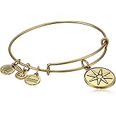 Amazon.com: Alex and Ani "Bangle Bar" Rafaelian Gold-Tone Crab Expandable Bracelet: Clothing ...