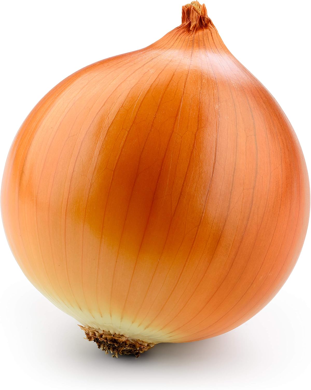 Morrisons Loose Onions, 1 Each: Amazon.co.uk: Grocery