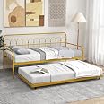 Amazon.com: Giantex Twin Daybed with Trundle Gold, Metal Day Bed with ...