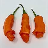 Amazon.com : Peter Pepper Red Hot Pepper 10+ Seeds : Chile Pepper ...