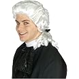 Amazon.com: Rubie's mens Colonial Judge Costume Wig, White, One Size US ...