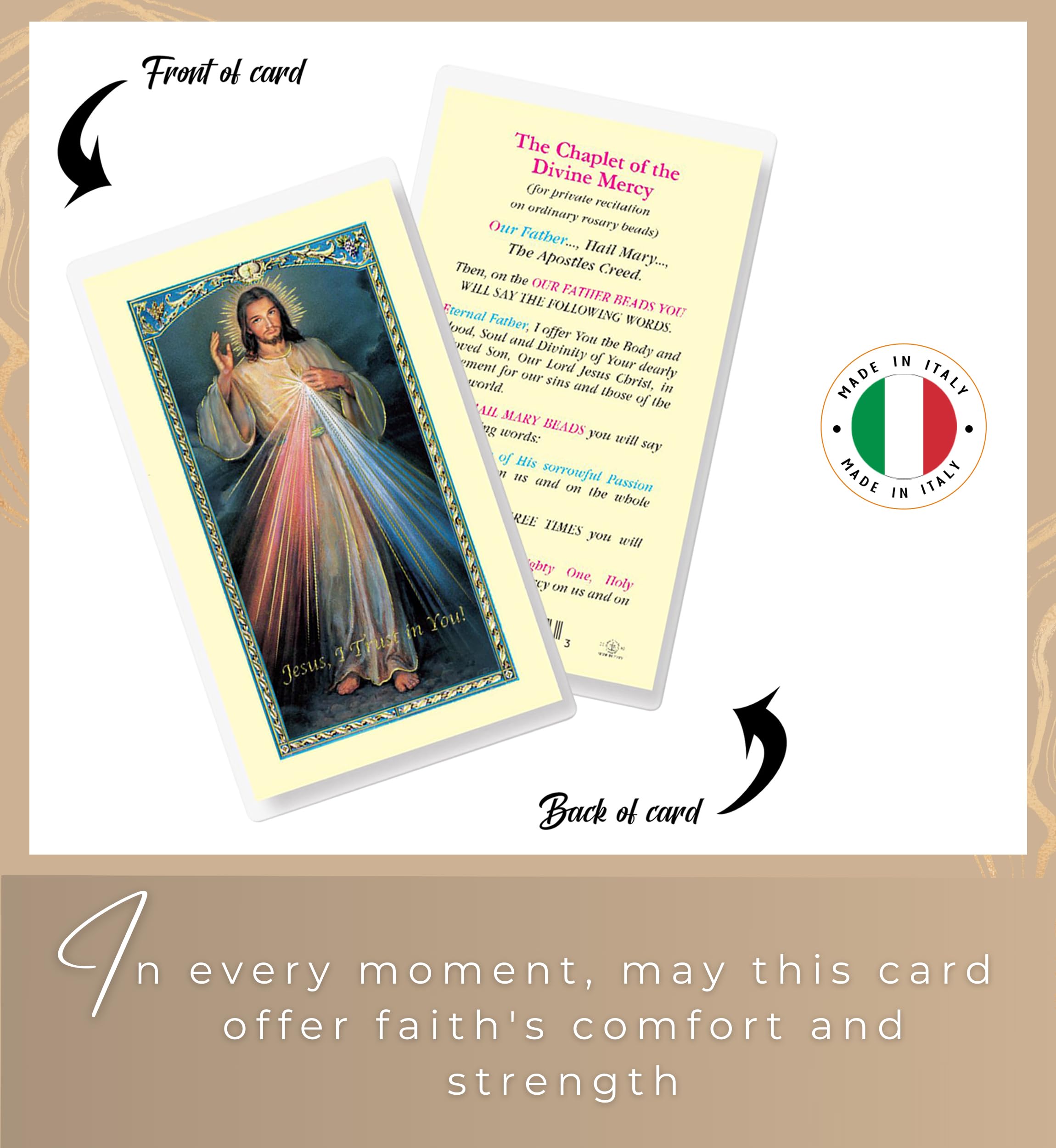 Mua Divine Mercy Image - Laminated Divine Mercy Chaplet Prayer Card ...