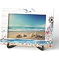 Amazon.com - Qiwog Beach Photo Frame - Nautical Beach Themed Wooden ...