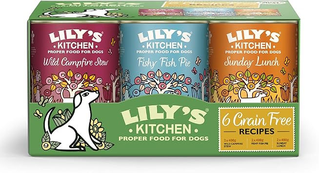 Lily's Kitchen Grain Free Multipack Wet Dog Food (6 x 400g): Amazon.co ...