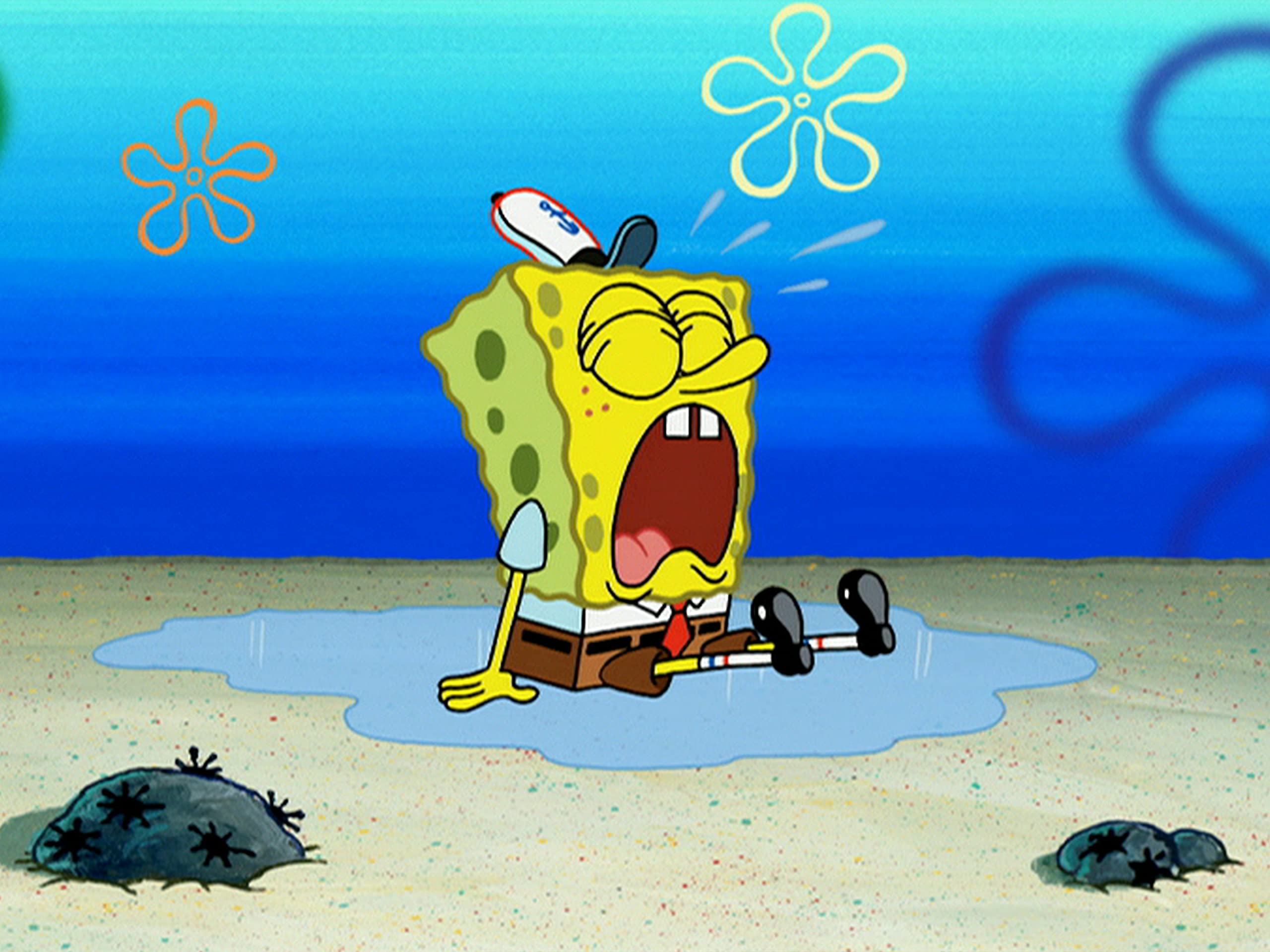Amazon.co.jp: SpongeBob SquarePants Season 5 (English version)を観る ...