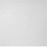 Genesis White Stucco Pro Revealed Edge Ceiling Tiles - Easy Drop-in ...