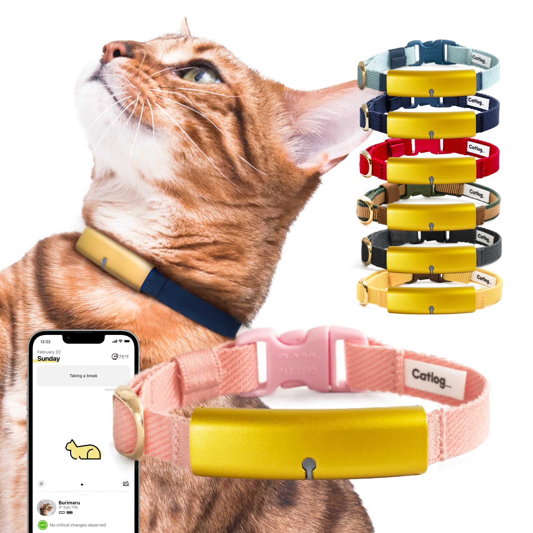 Catlog Health Tracker for Cats - Smart Cat Collar with Safety Breakaway ...