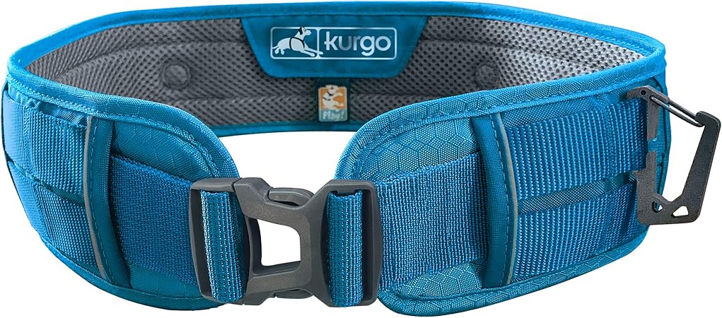 Kurgo Hands Free Dog Running Belt | Leash Waist Belt for Dogs ...