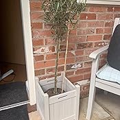 2 x Wooden Garden Planters Flower Plant Pot Window Box Planting Raise ...