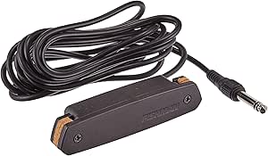 Amazon.com: Fishman Neo D Single Coil Magnetic Soundhole Pickup ...