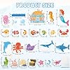gisgfim Under The Sea Bulletin Board Decoration Set Classroom Sea ...