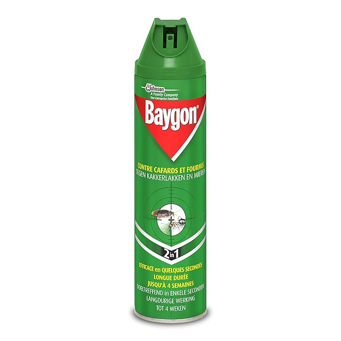Buy Baygon 400ml 2-in-1 Insecticide Spray for Crawling Insects ...