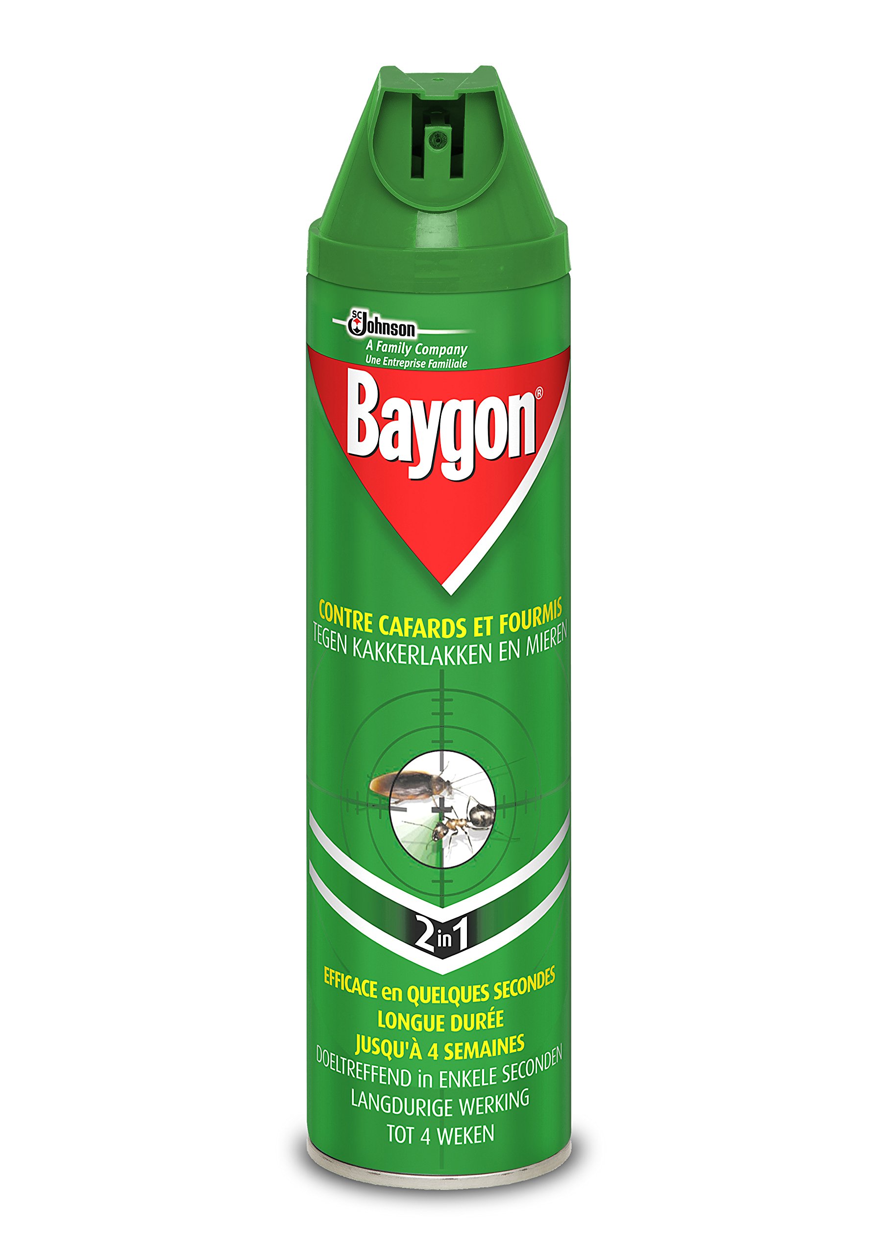 Buy Baygon 400ml 2-in-1 Insecticide Spray for Crawling Insects ...