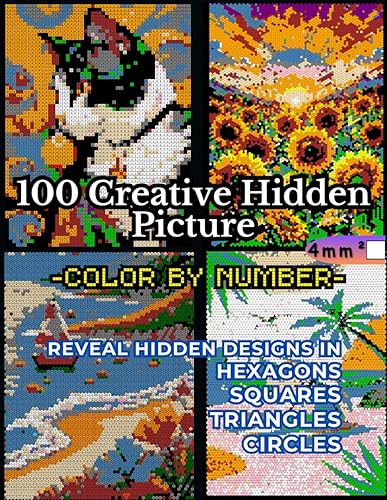 100 Creative Hidden Picture Color by Number: Reveal Hidden Designs in ...