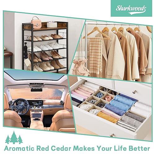 100 Pcs Natural Cedar Wood Blocks & Balls For Closet - Moth Repellent ...