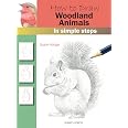 Amazon - How to Draw Wild Animals: In Simple Steps: Newey, Jonathan ...