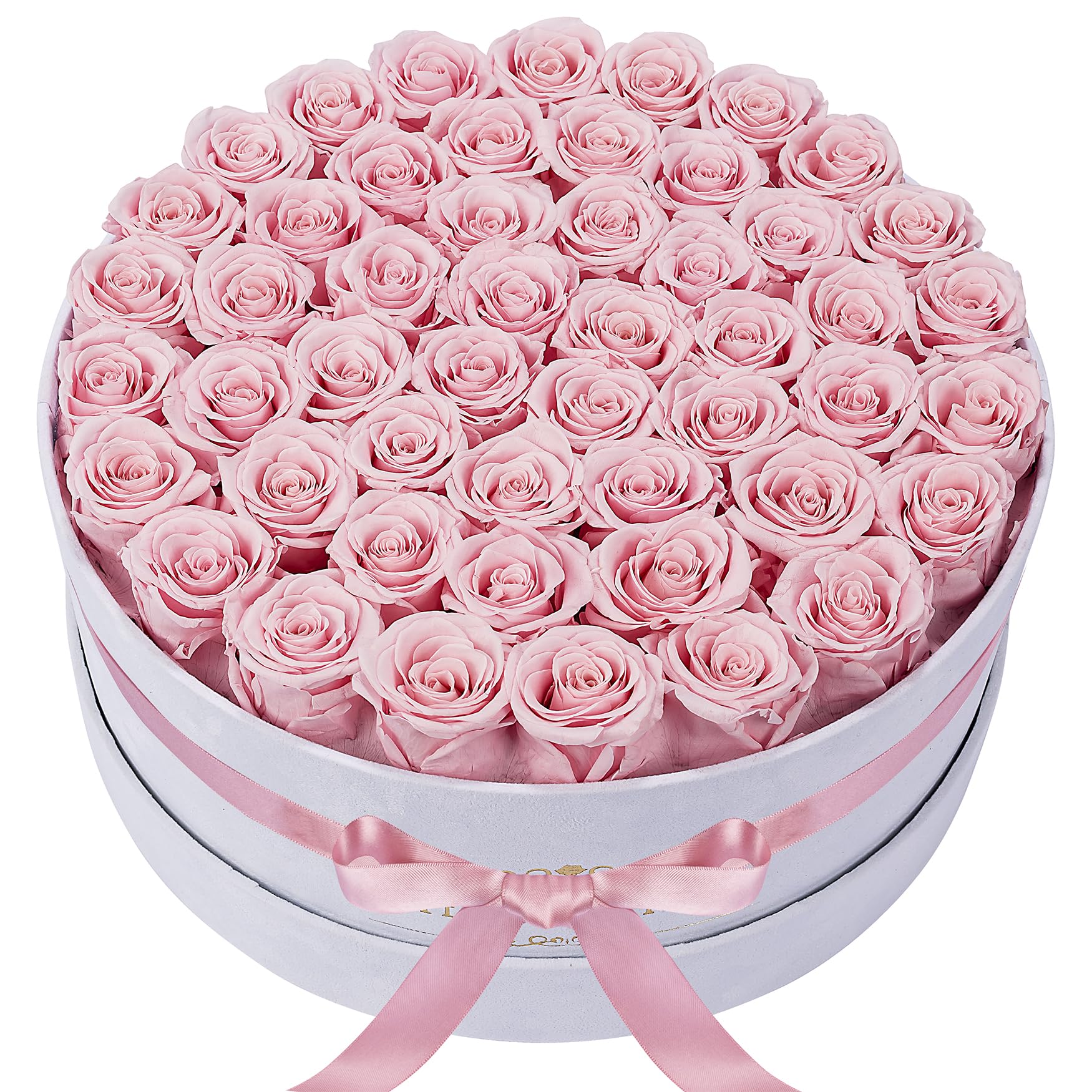 Perfectione Roses shop Kuwait | Buy Perfectione Roses products online ...