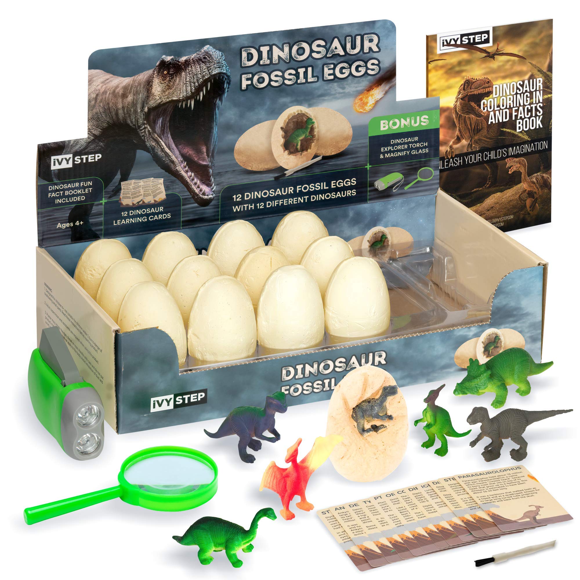 Mua Dinosaur Fossil Dig Kit - Kids Explorer Kit w/ Egg Excavation Tools ...