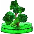 Amazon.com: DCI Magic Bonsai : Home & Kitchen