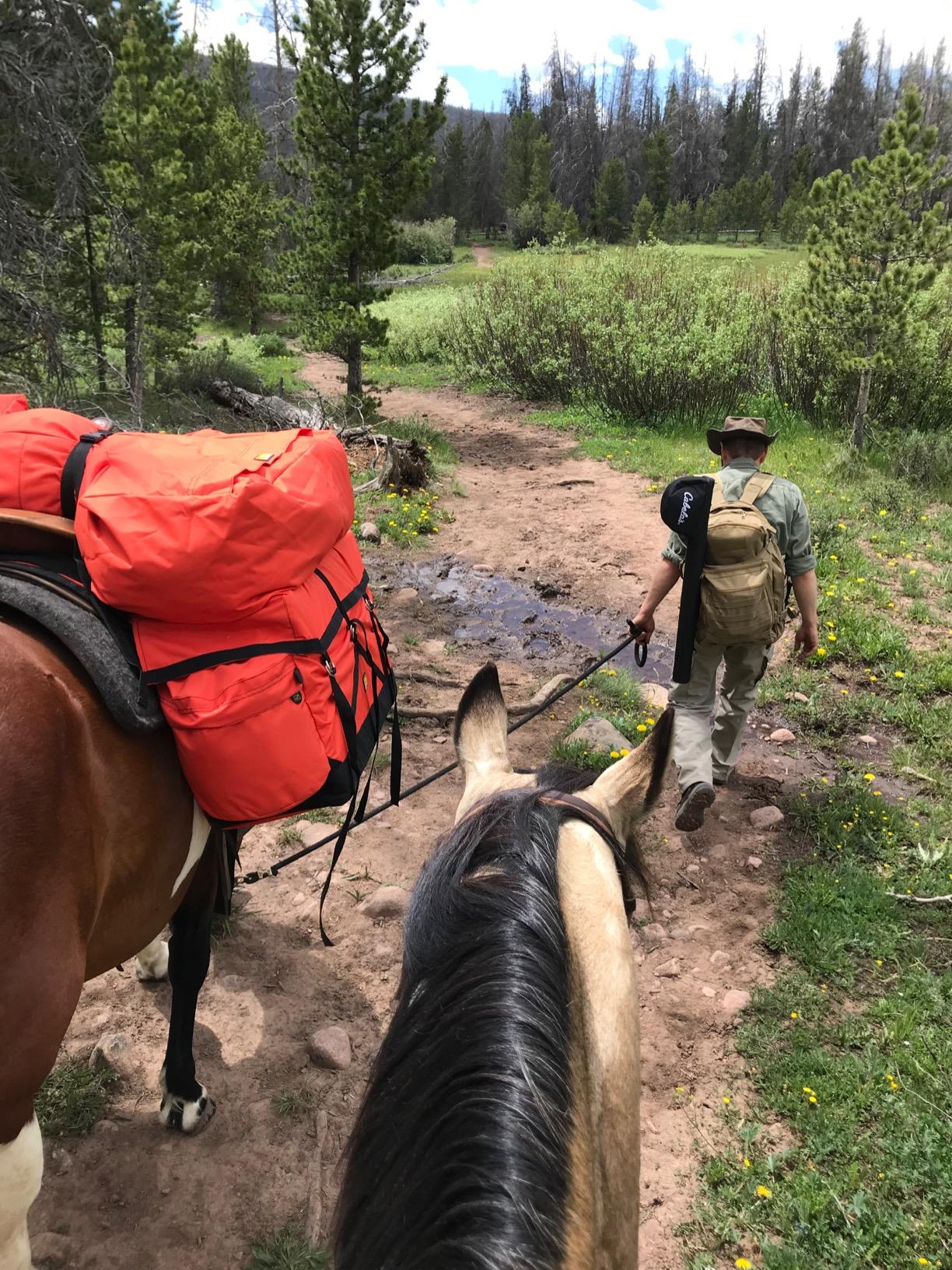 $17/mo - Finance Pack-A-Saddle; Saddle Pack Pannier System, Fits Riding ...