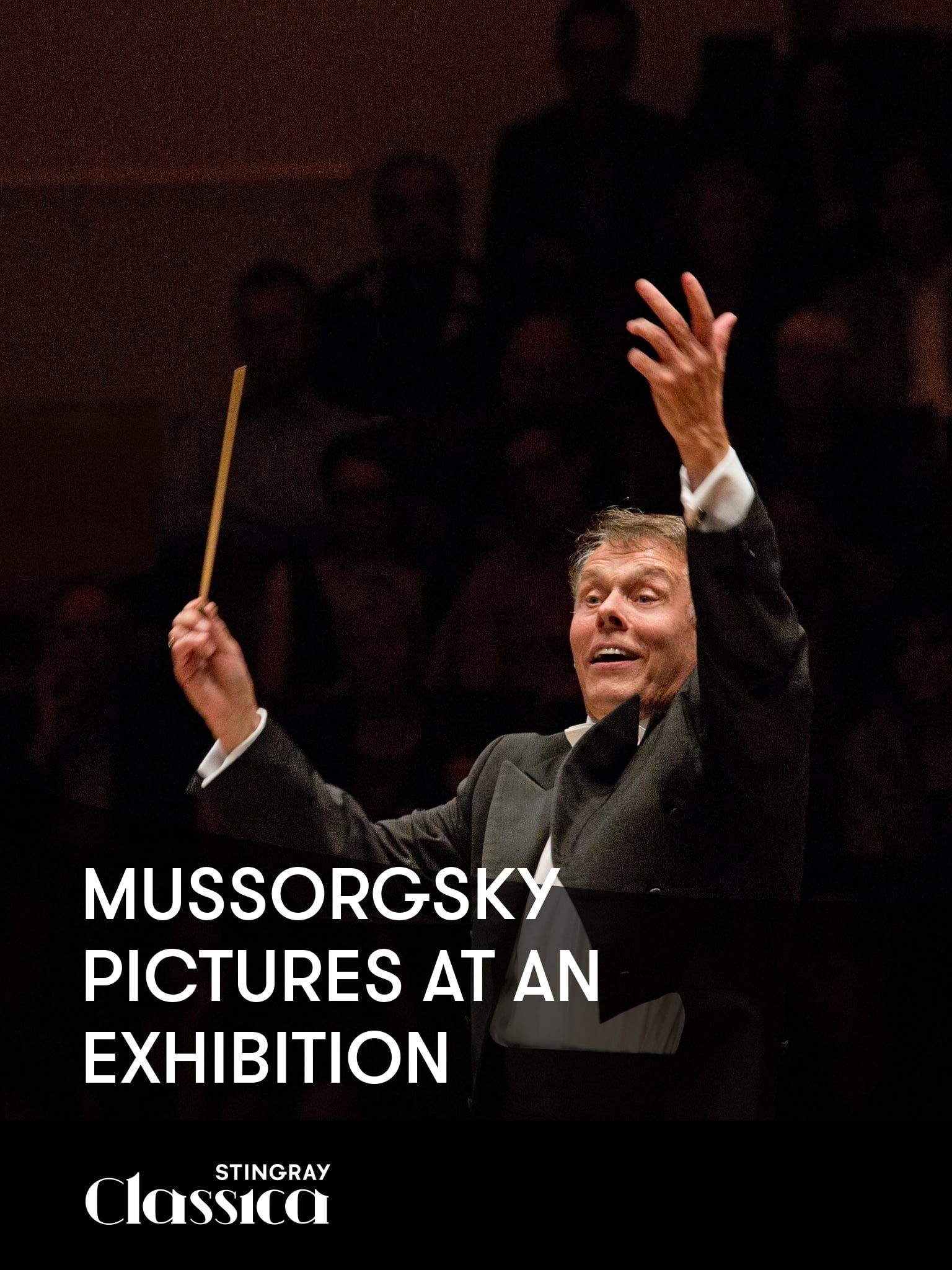 Amazon.com: Mussorgsky - Pictures at an Exhibition : Bavarian Radio ...