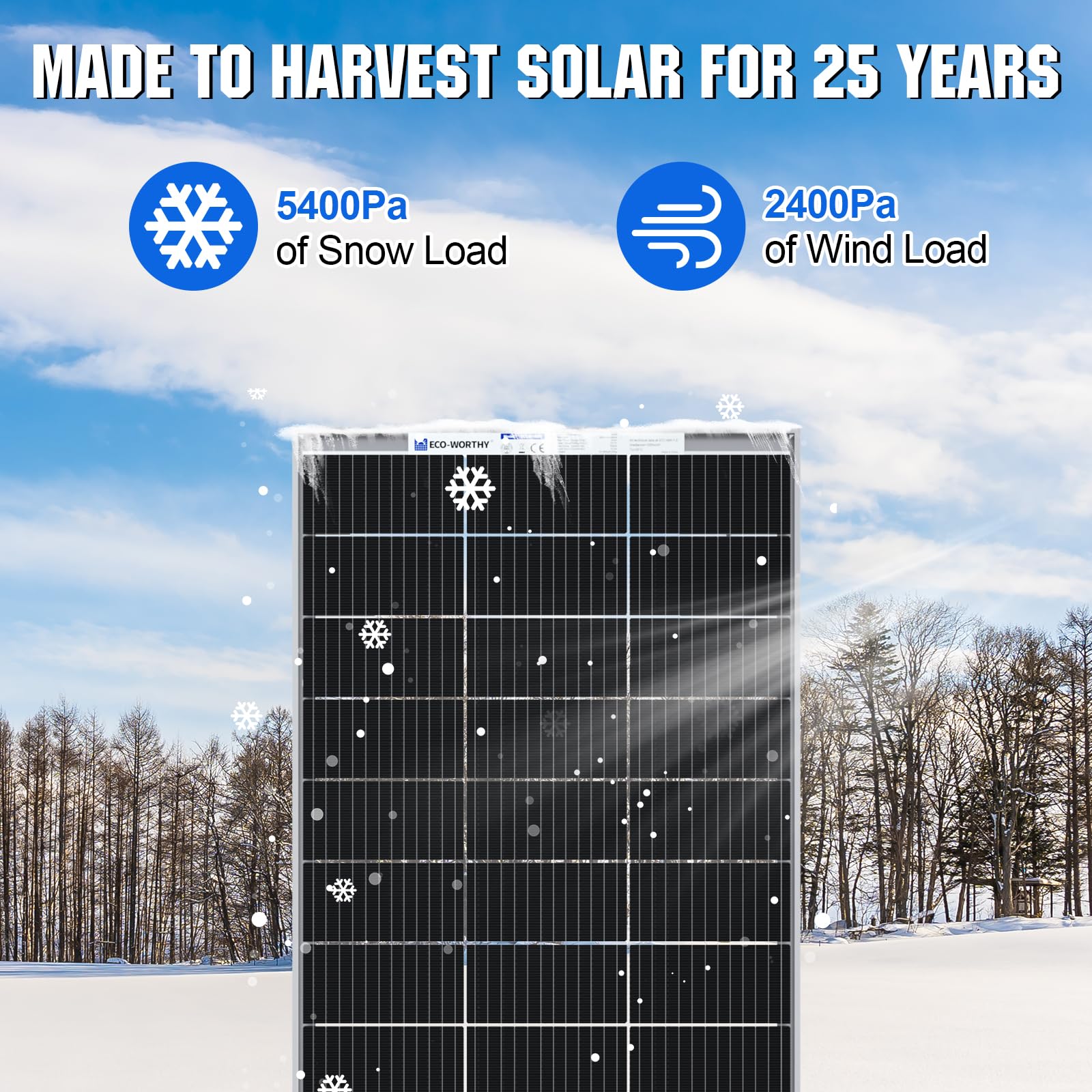 Mua ECO-WORTHY Bifacial 195 Watt 12 Volt 12BB Solar Panel ...