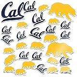 Amazon.com: University of California Berkeley Golden Bears Cal UC ...