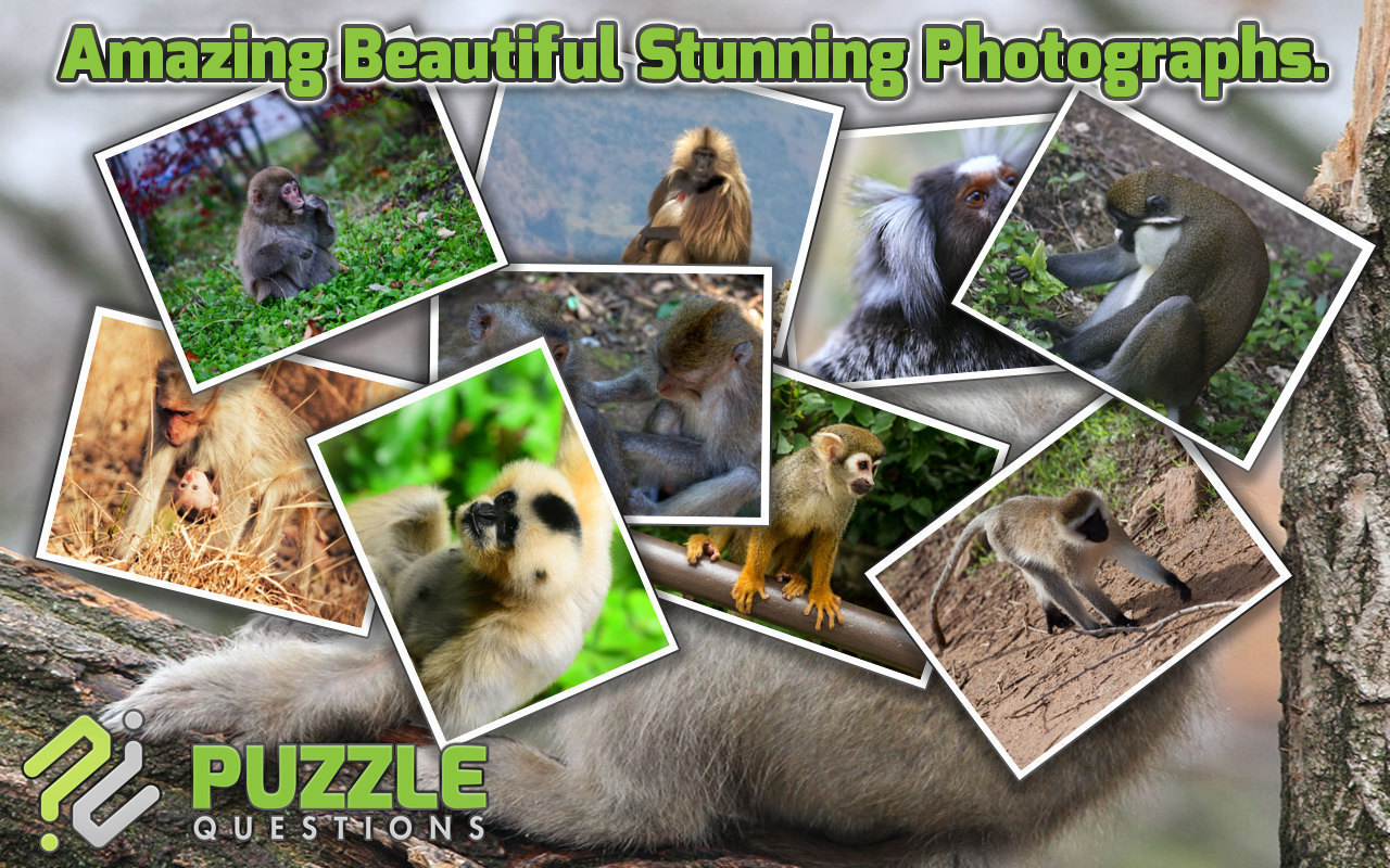 Monkey Jigsaw Puzzle Games:Amazon.co.uk:Appstore for Android