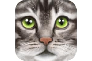 Amazon.com Movers & Shakers: The biggest gainers in Apps & Games sales ...