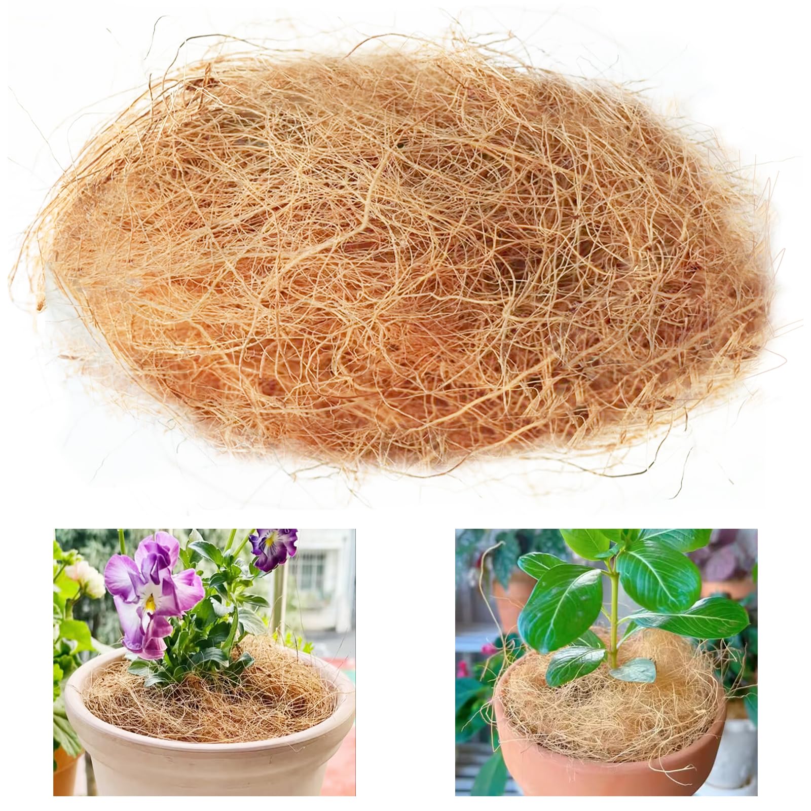 Mua Natural Organic Coconut Husk Silk, Pure Coconut Shell Fiber Orchid ...