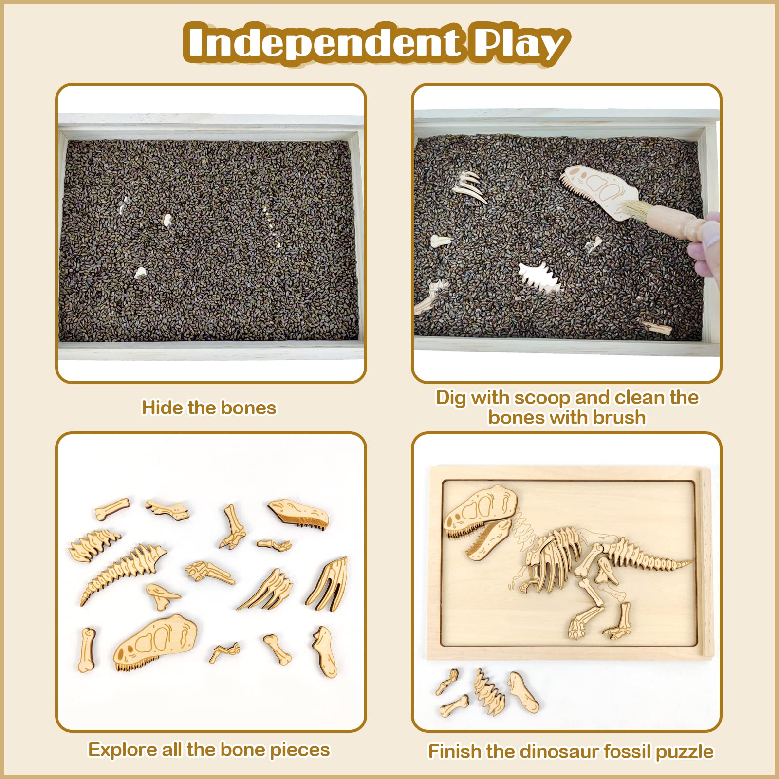 Mua Xylolin Dinosaur Excavation Archaeology Dig Kit for Kids, Fossil ...