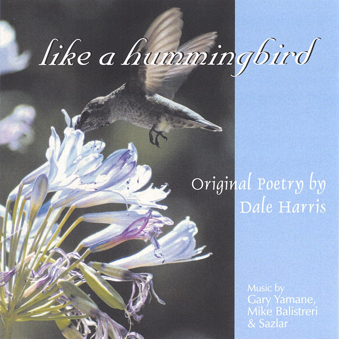 Like a Hummingbird: Amazon.co.uk: Music