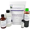 Innovating Science Oscillating Reactions Kit - The REDOX Rainbow ...