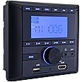 Amazon.com: RecPro RV Stereo AM/FM Radio with Bluetooth | Aux-in | HDMI ...