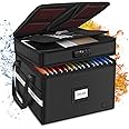 Amazon.com: Fireproof Document Box with Lock, ETRONIK 2 Layer File Box Organizer with 5 Tab ...
