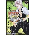 Amazon.com: Demon Slayer: Kimetsu no Yaiba, Vol. 17 (17): 9781974710614 ...