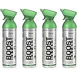 Amazon.com: 2 Pack Large 10-Liter Boost Oxygen Portable Pure Canned ...