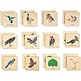 Amazon.com: Montessori Wooden Birds Memory Game, 1 2 3 4 Year Old ...